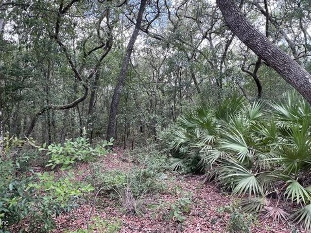 1107 Usina Ave, Interlachen, FL 32148