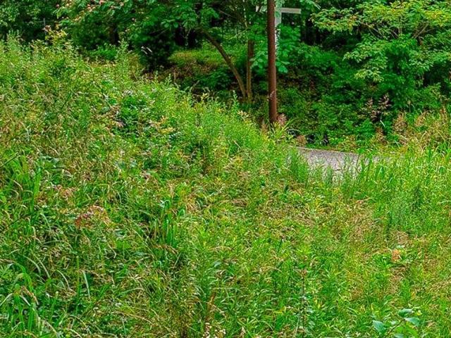 1107 walk pl dr