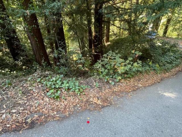 11085 Riverside Road