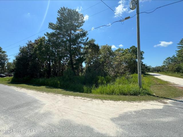 11093 Jenny Wren Rd, Weeki Wachee, FL 34614 | MLS #HC2240