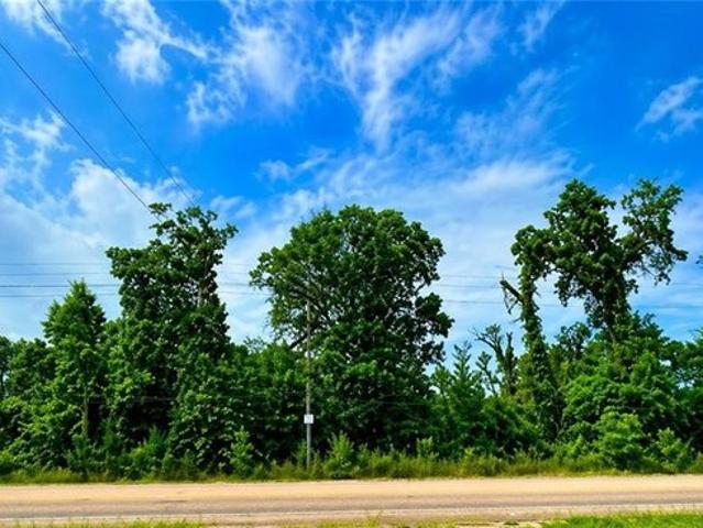 11097 LA 22 Hwy Lot 3, Ponchatoula, LA 70454