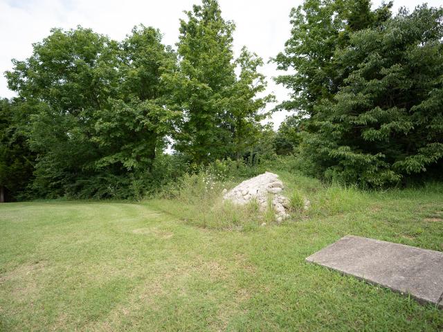 1109 Hamlet Forest Court