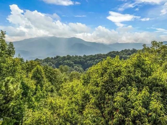1109 Ski View Drive