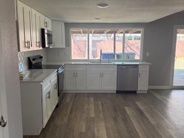 1109 Sleepy Hollow Drive