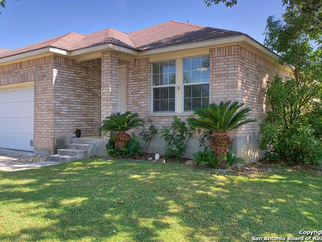 11003 Dublin Briar