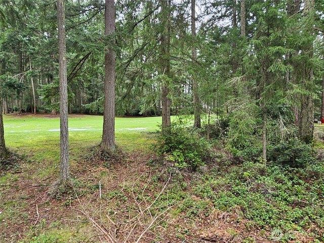 11005 Pioneer Dr Lot 99, Anderson Island, WA 98303