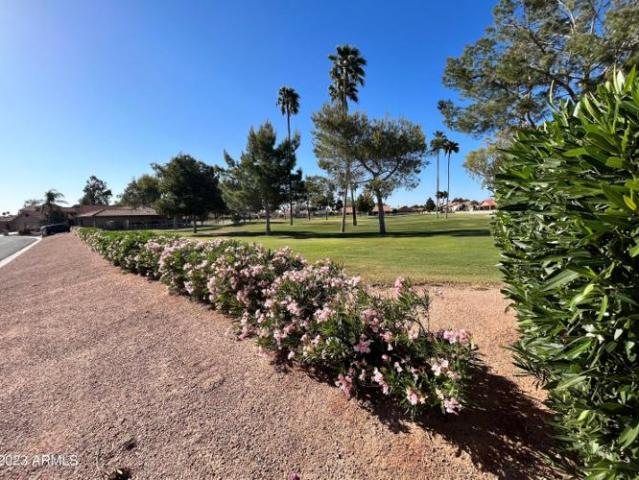 11009 E Chestnut Dr, Sun Lakes, AZ 85248