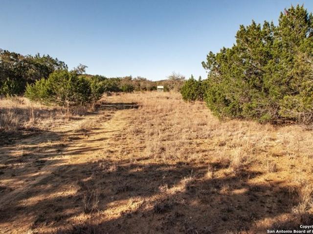 1100 Baptist Ln, Tarpley, TX 78883