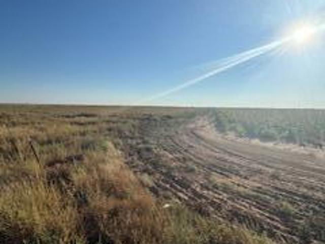 1100 County Rd, Shallowater, TX 79363 | MLS #202561