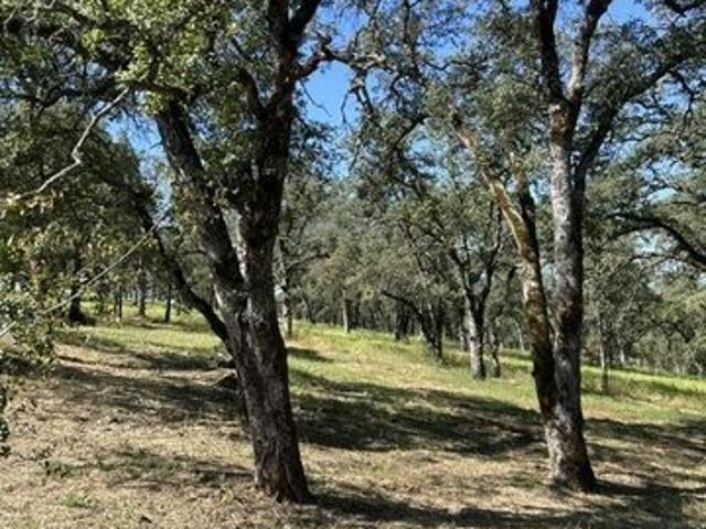 1100 Firth Way, El Dorado Hills, CA 95762