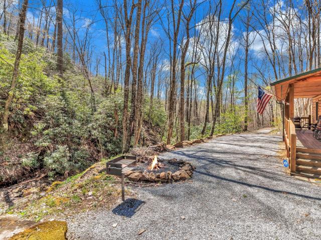 1100 Panther Branch Road
