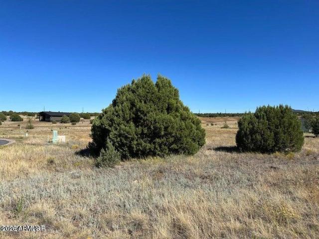 1100 S Ridgecreek Ln, Unit 29, Show Low, AZ 85901 | MLS #7000 | Compass