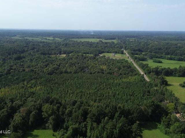 1100 Sharon Rd Lot 1, Canton, MS 39046