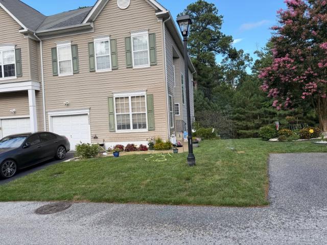 1100 Square Feet Basement for rent