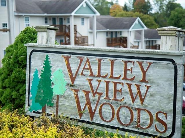 1100 Valley View Ave, Morgantown, WV 26505