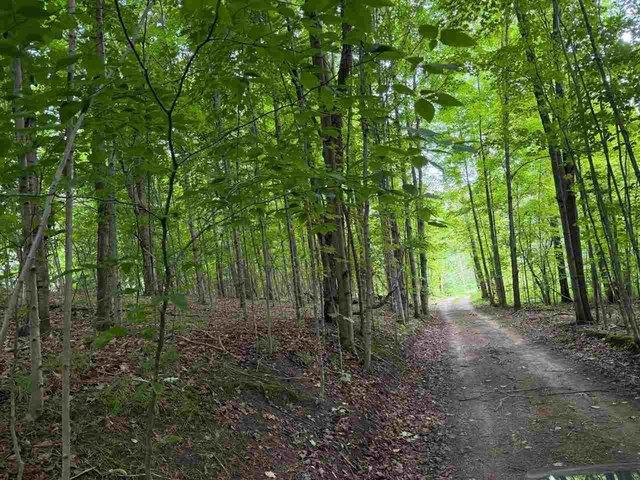 1100 Wangeman Rd, East Jordan, MI 49727