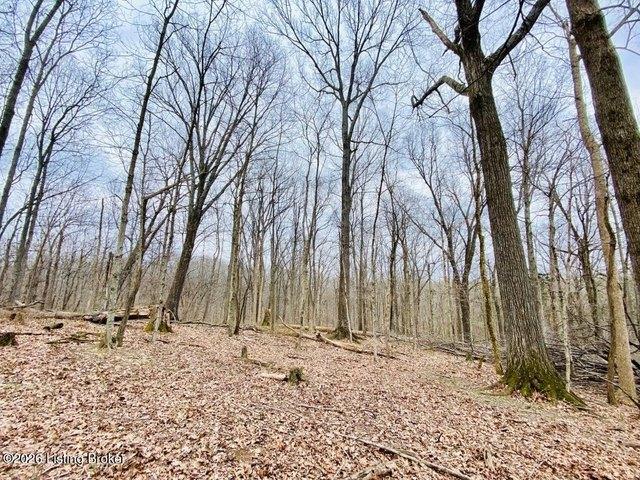 1100 Windy Way Ln, Harrodsburg, KY 40330