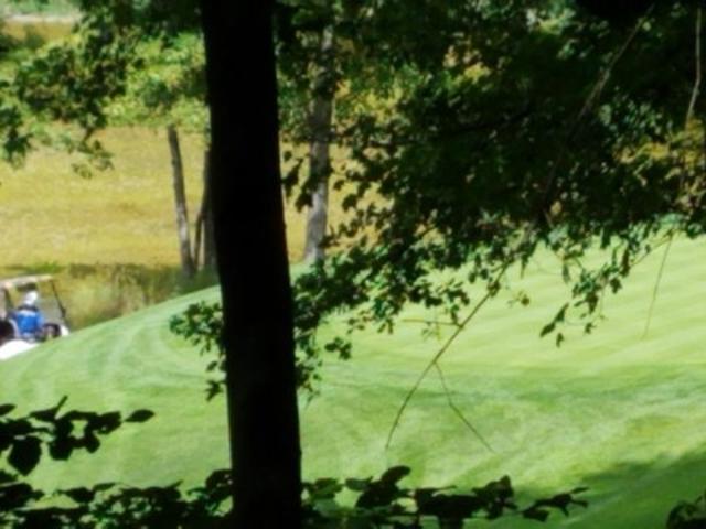 11010 Shawnee Trl Unit 229, Stanwood, MI 49346