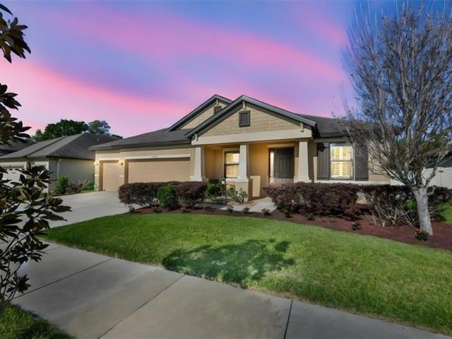 11014 Brahman Ranch Cir, Riverview, FL 33578
