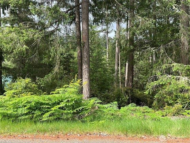 11018 Matthews Way Lot 11, Anderson Island, WA 98303