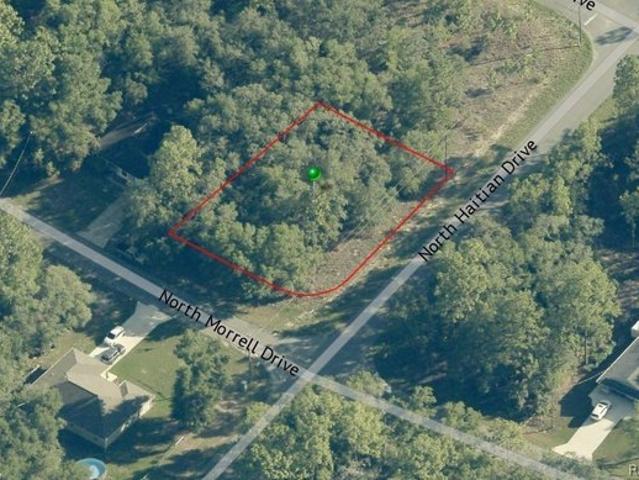 11019 N Morrell Dr, Citrus Springs, FL 34434