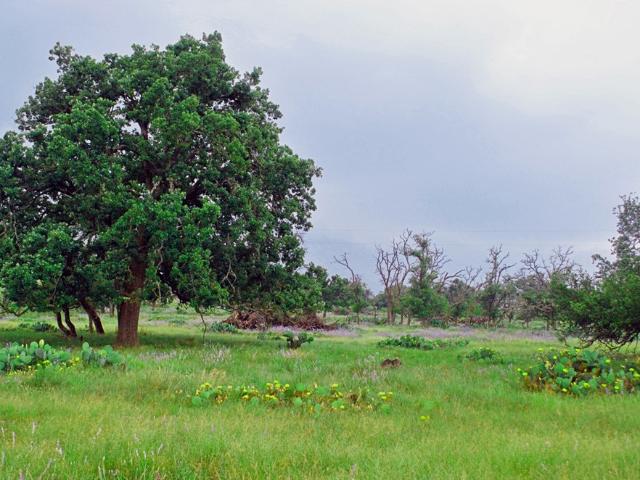 1101 Dreamcatcher Ln, Harper, TX 78631 | MLS #98928