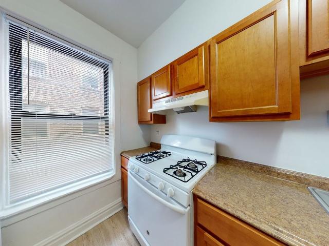 1101 E. Hyde Park Boulevard 1 Bedroom Apartment for Rent at 1101 E Hyde Park Blvd, Chicago, IL 60615 Hyde Park
