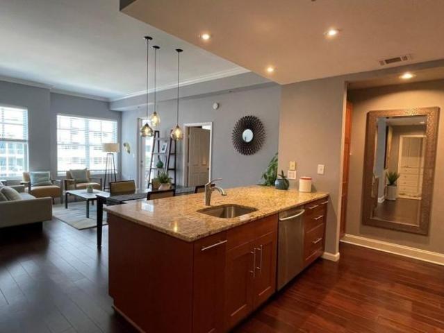 1101 Juniper Street Ne 1504, Atlanta, GA