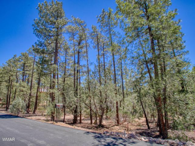 1101 Pine Oaks Drive