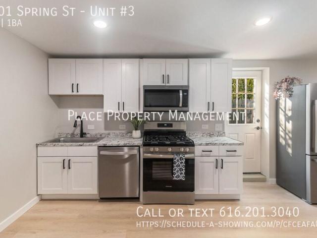 1101 Spring St Stunning lower 2 Bedroom!