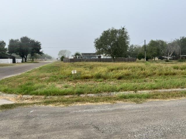 1101 W Viggo St, Hebbronville, TX 78361