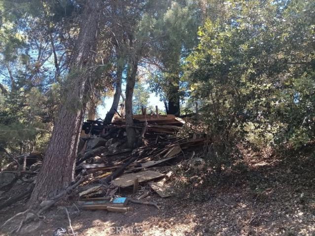 1102 Chateau Drive