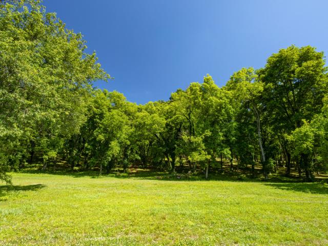 1102 Riverbank Ridge