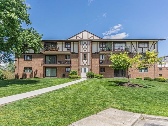 11030 S Theresa Cir Apt 3A, Palos Hills, IL 60465