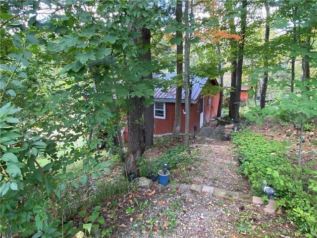 11035 Schwingle Rd, Prattsburgh, NY 14873