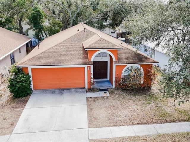 1103 Mallory Point Dr, Valrico, FL 33596
