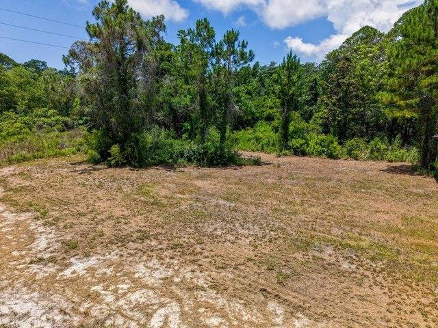 1103 Copesetic St, Carrabelle, FL 32322