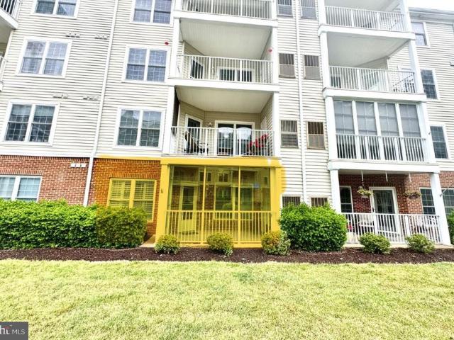 1103 S Schumaker Drive # C 006