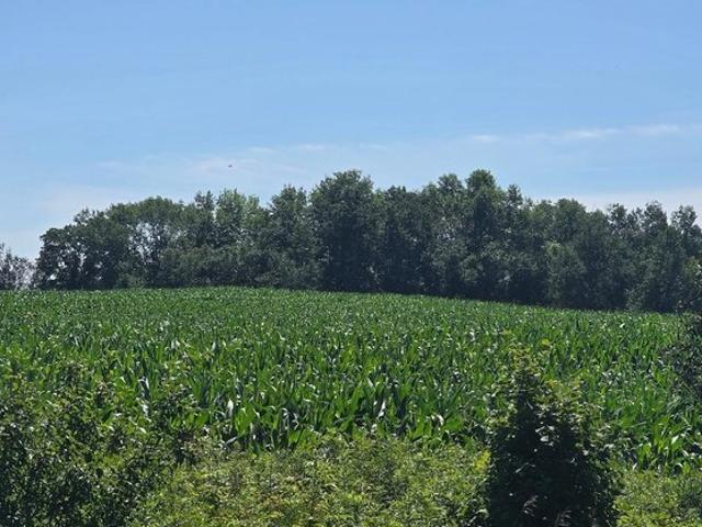 110th, Frederic, WI 54837