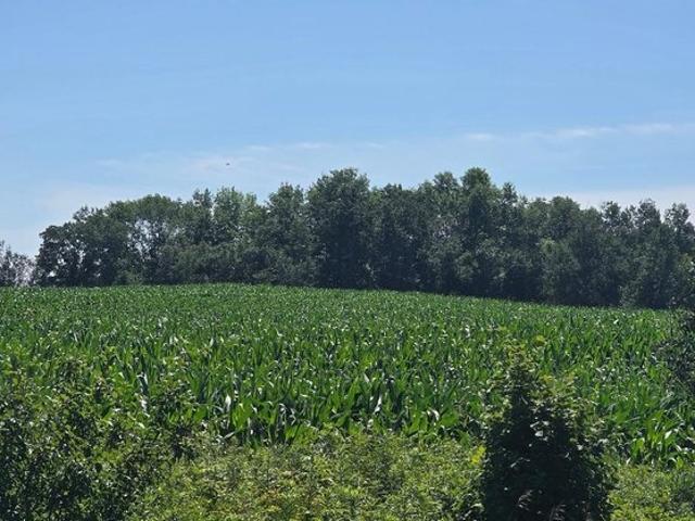 110th St, Frederic, WI 54837
