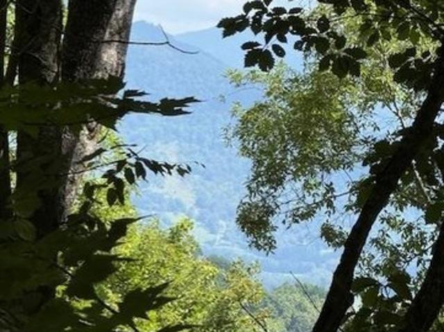 110 Cabin Rdg Unit 110, Waynesville, NC 28785