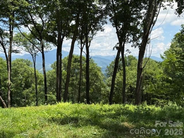 110 Cabin Ridge # 110