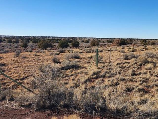 110 Acres 180 # 180A, Concho, AZ 85924