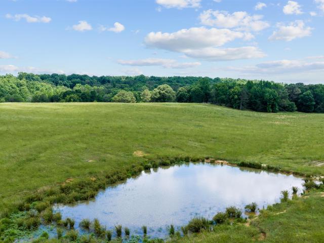 110 ACRES County Road 15