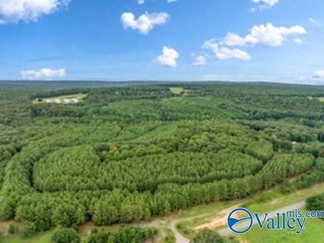 110 Acres Fischer Rd, Fort Payne, AL 35967