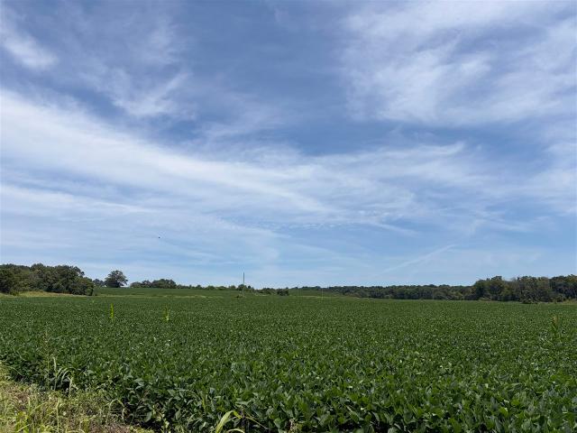 110 acres Tally Road