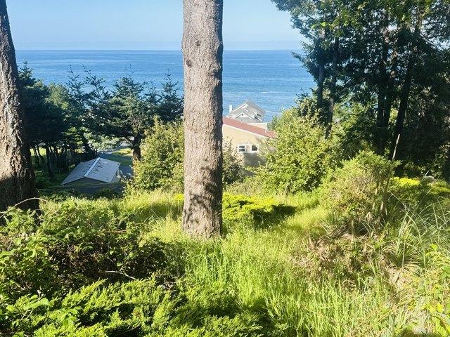 110 Albatross Rd, Shelter Cove, CA 95589