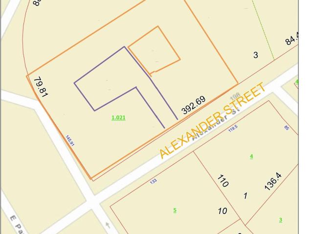 110 Alexander Street