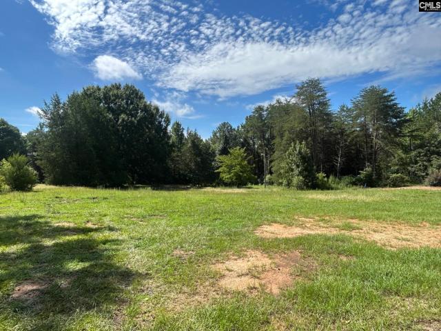 110 Bebe Way Lot D