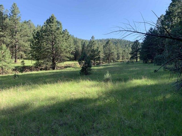 110 Bell Canyon Rd, Cloudcroft, NM 88317